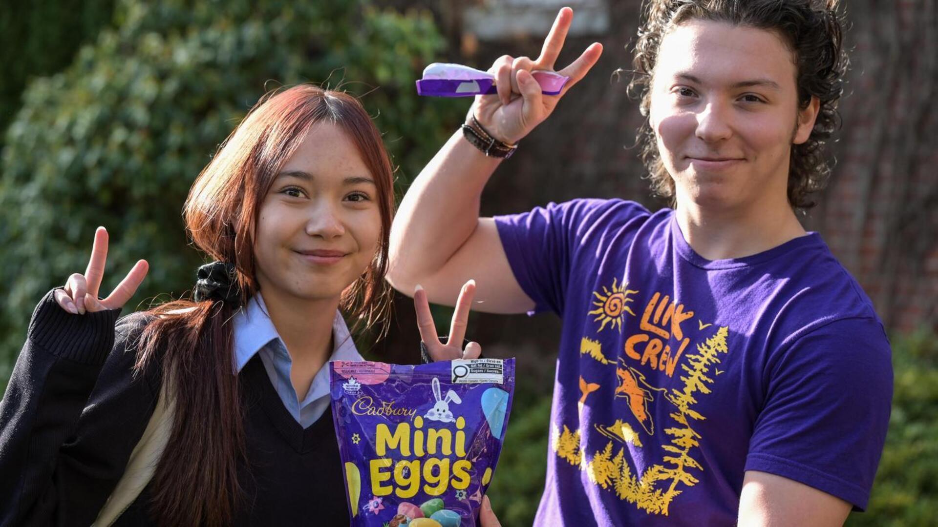 Structures of Support: Link Leaders in Action | St. Michaels University ...